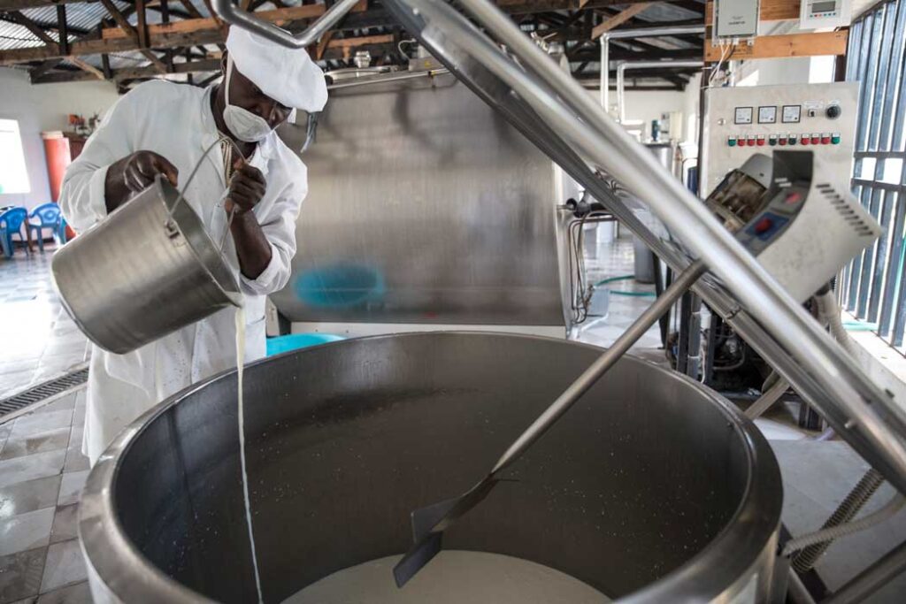 Our Impact and Experience – EAMDA