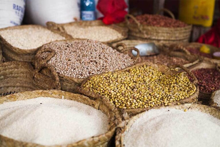 Our Impact and Experience – EAMDA