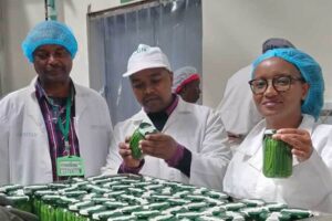 Our Impact and Experience – EAMDA