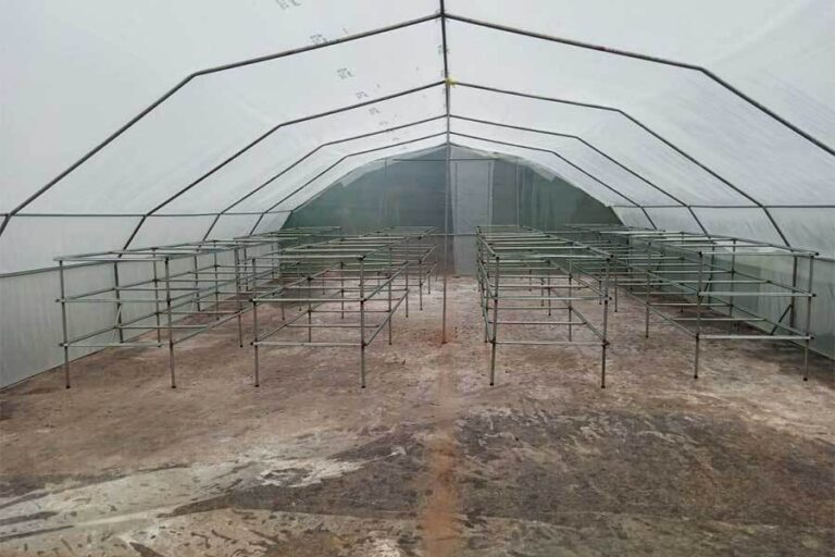 Our Impact and Experience – EAMDA