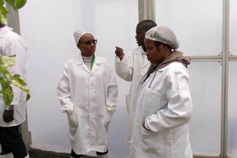 Our Impact and Experience – EAMDA